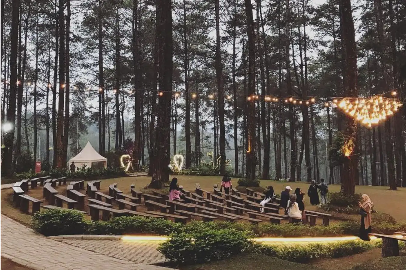 Orchid Forest Cikole Bandung : Lokasi, Harga Tiket, Jam Buka, Daya ...