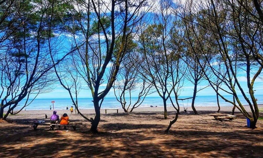 Pantai Cangkring Bantul: Lokasi, Harga Tiket, Jam Buka, Daya Tarik dan ...