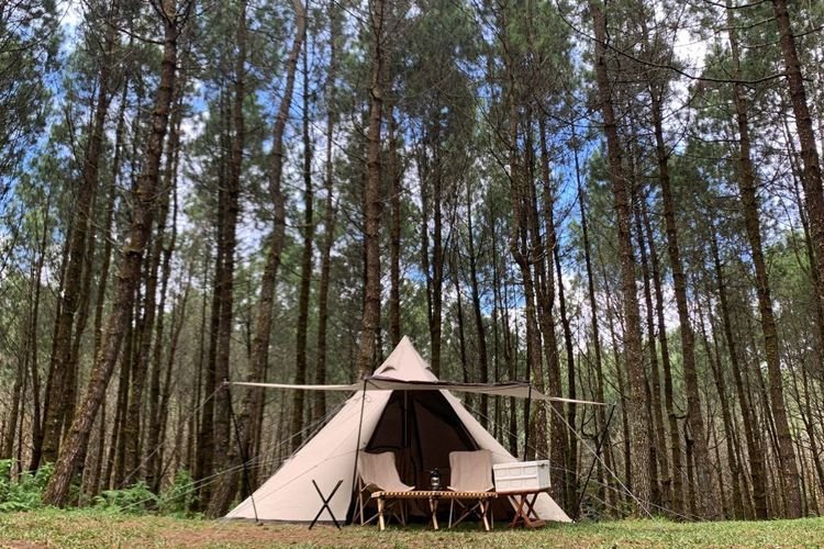 Tangkal Pinus Bandung: Lokasi, Harga Tiket, Jam Buka, Daya Tarik dan ...